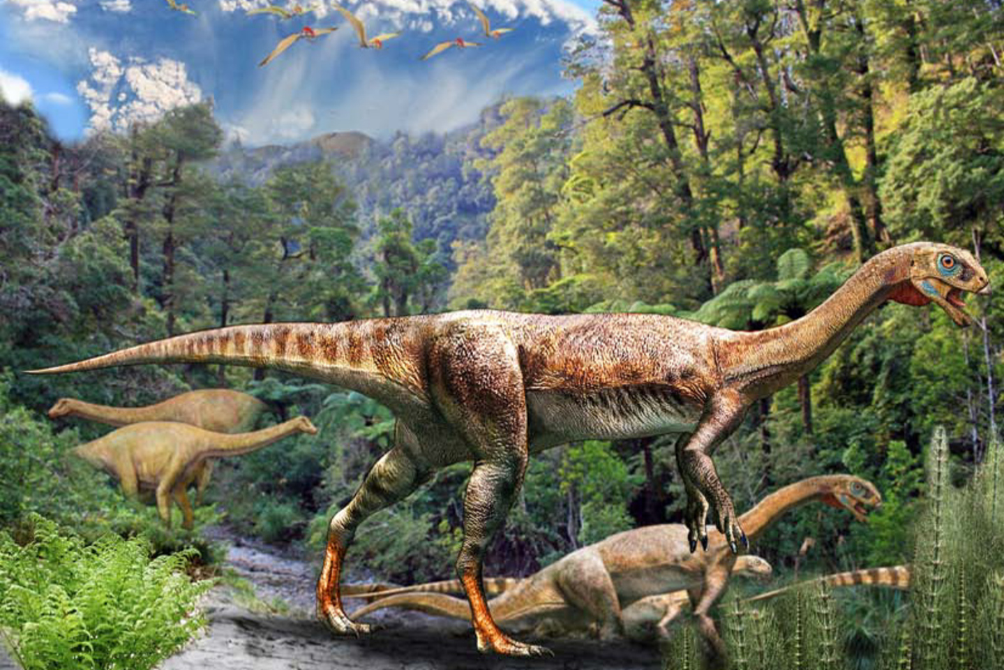 Viaje al Chile prehistórico - Registro de Museos de Chile