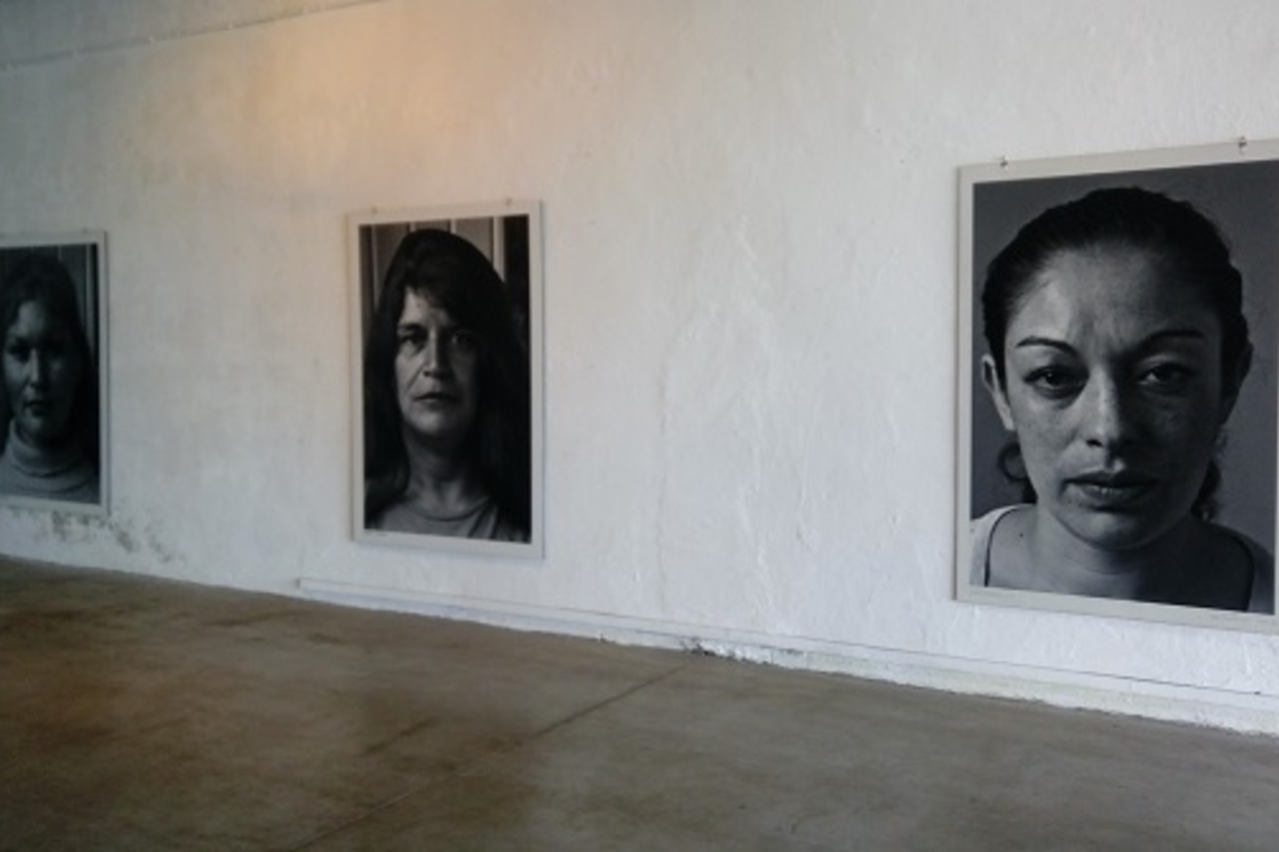 Museo de Arte Contemporáneo de Valdivia recibe donaciones de ...